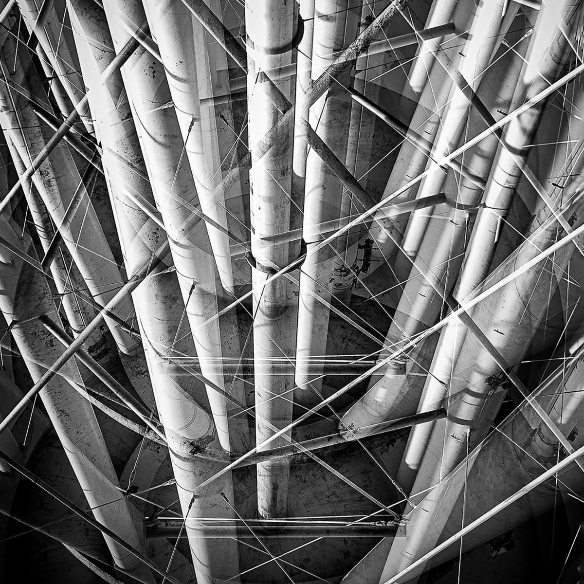 State – Lani Edwards